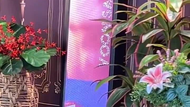 برونو پیناسکو با سانها در برنامه Cinescape Pro مصاحبه کرده و این استوری ...